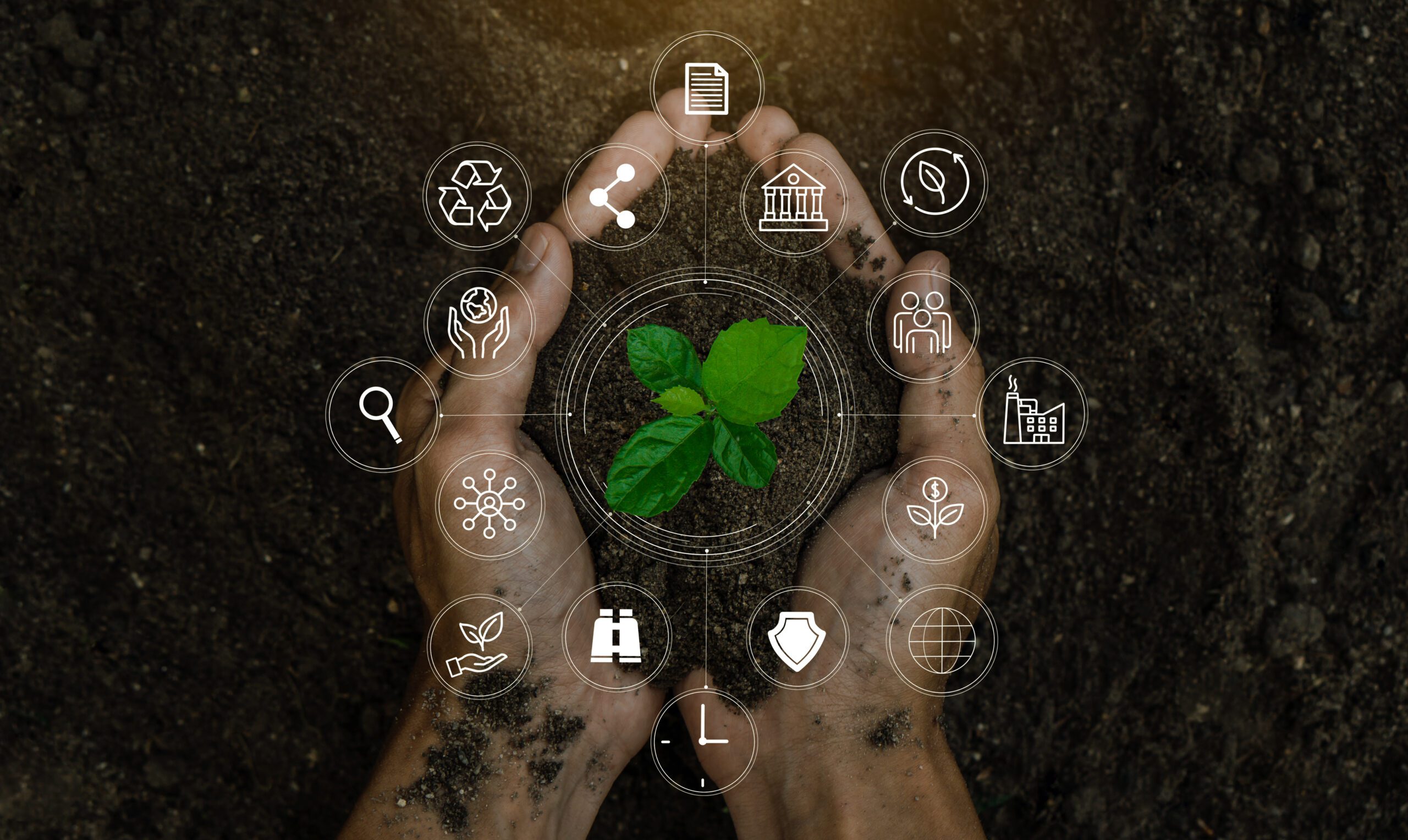 CT Drives GREEN: Sustainable Vocational Education for Europe